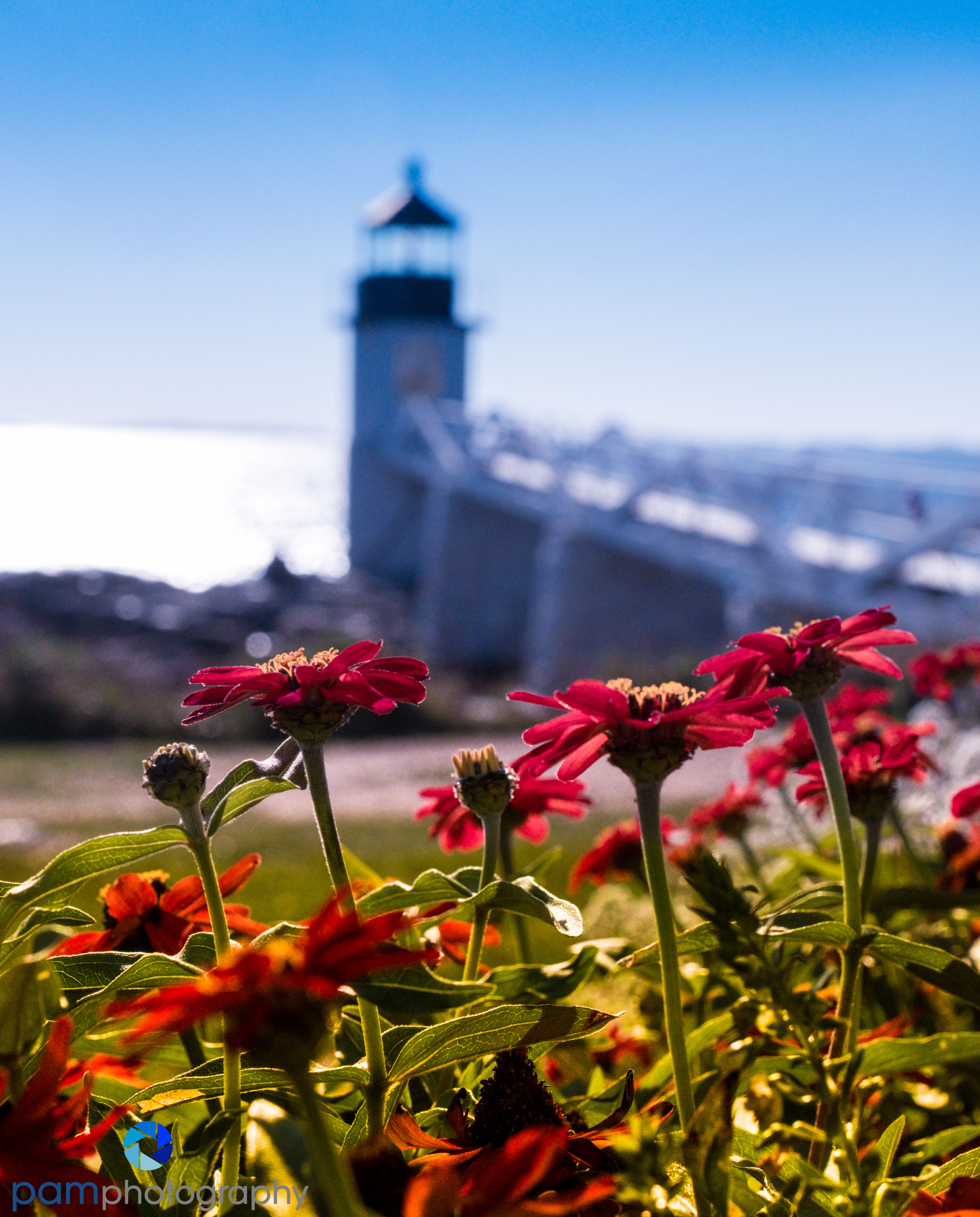 Photographing Lighthouses in Maine – pamphotography