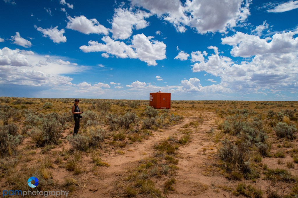 Wild Goose Chase: Finding Plotz Plot in Arizona – pamphotography