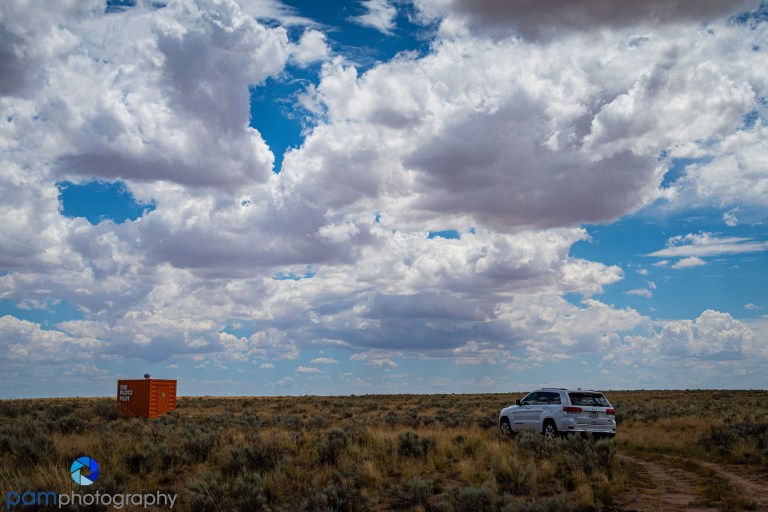 Wild Goose Chase: Finding Plotz Plot in Arizona – pamphotography