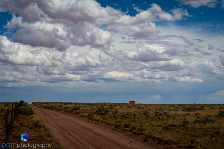Wild Goose Chase: Finding Plotz Plot in Arizona – pamphotography