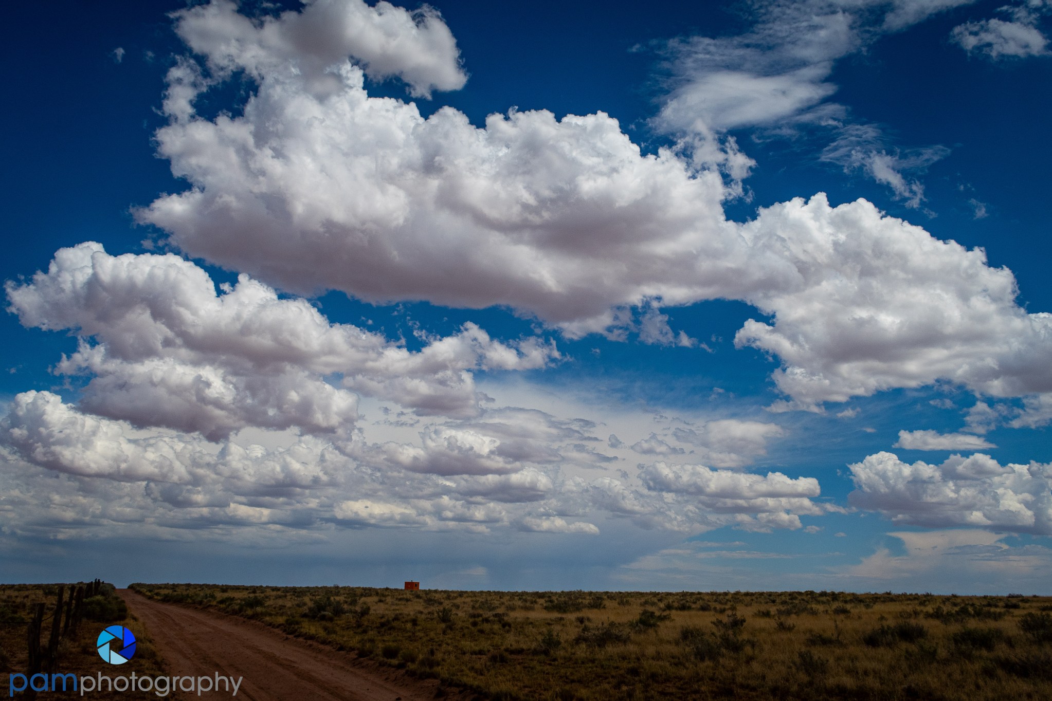 Wild Goose Chase: Finding Plotz Plot in Arizona – pamphotography